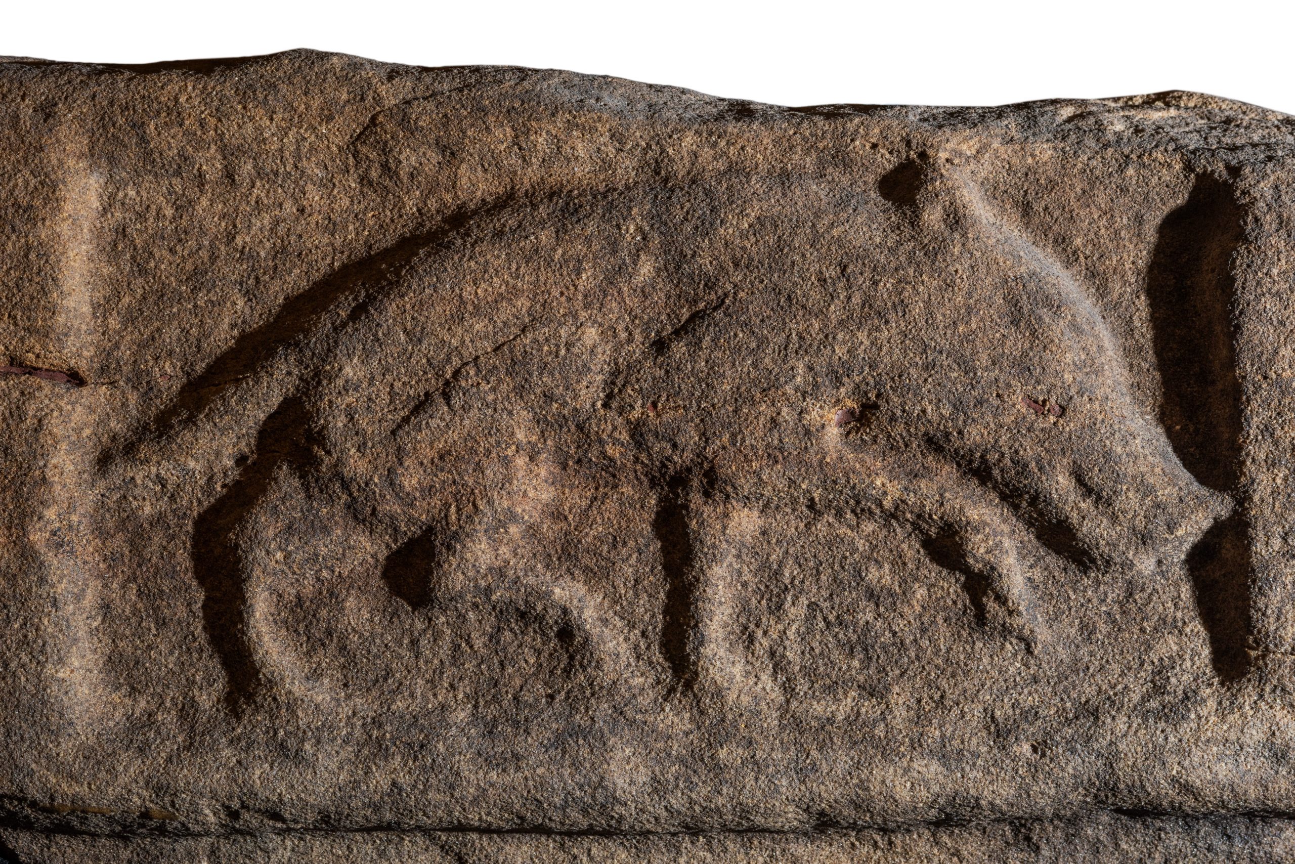 The Boar Stone | Museum of the Highlands