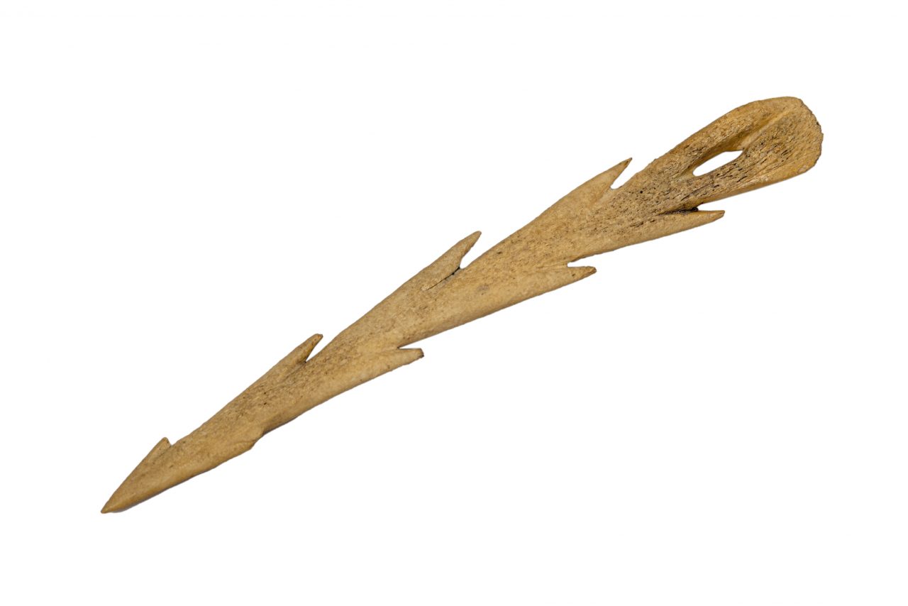 Mesolithic Harpoon | Museum of the Highlands
