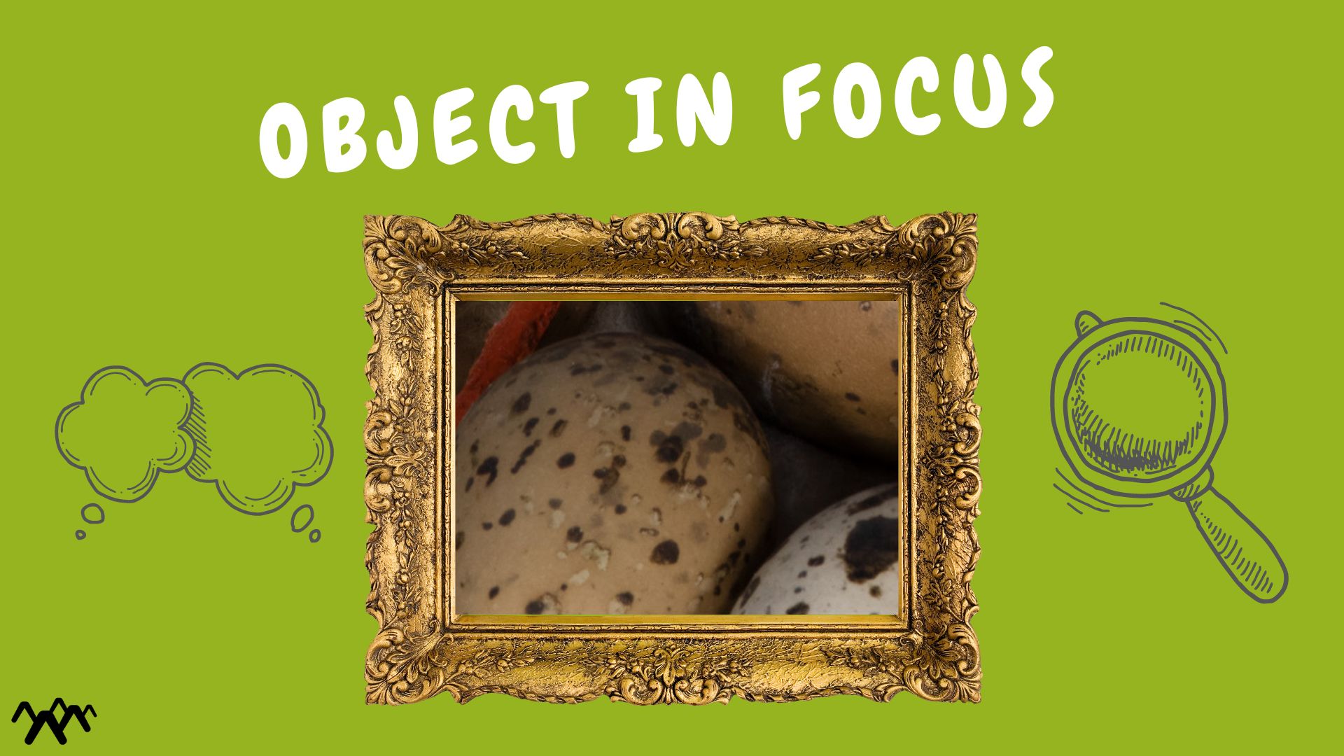 Objects In Focus | Museum of the Highlands