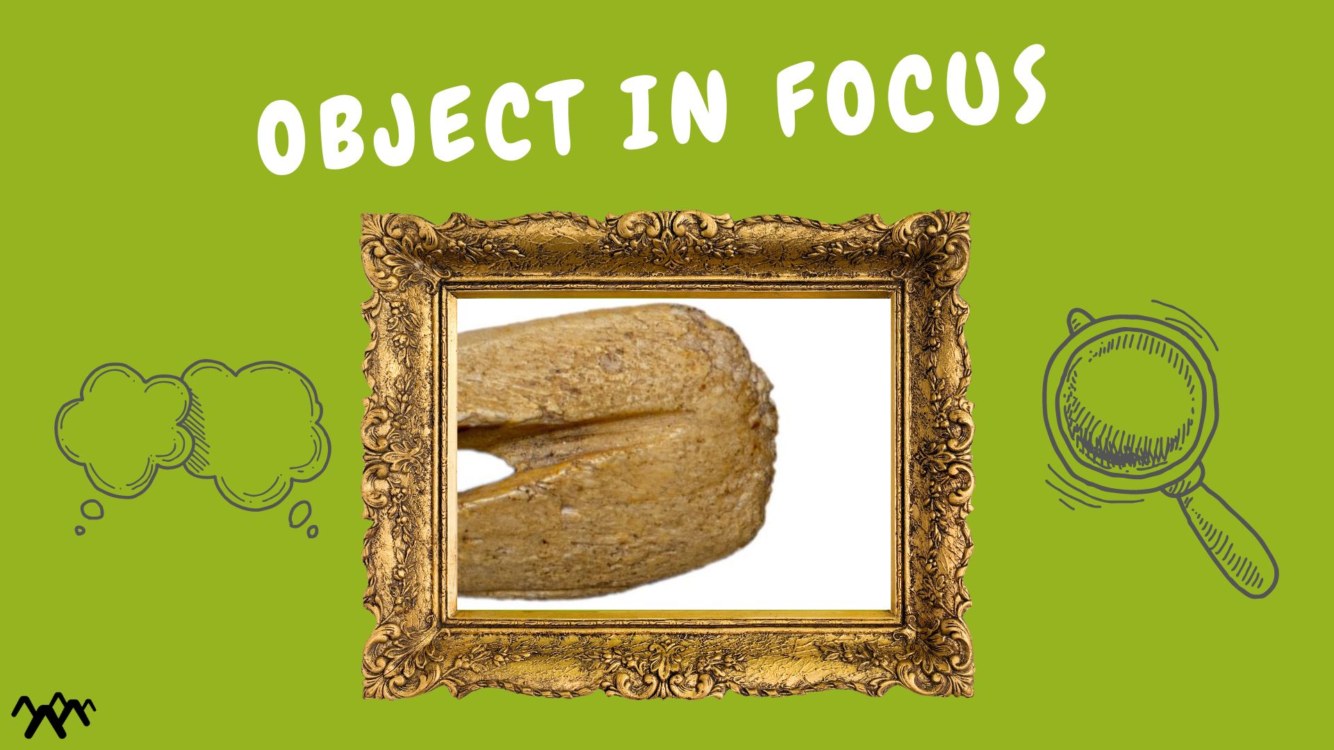 Objects In Focus | Museum of the Highlands