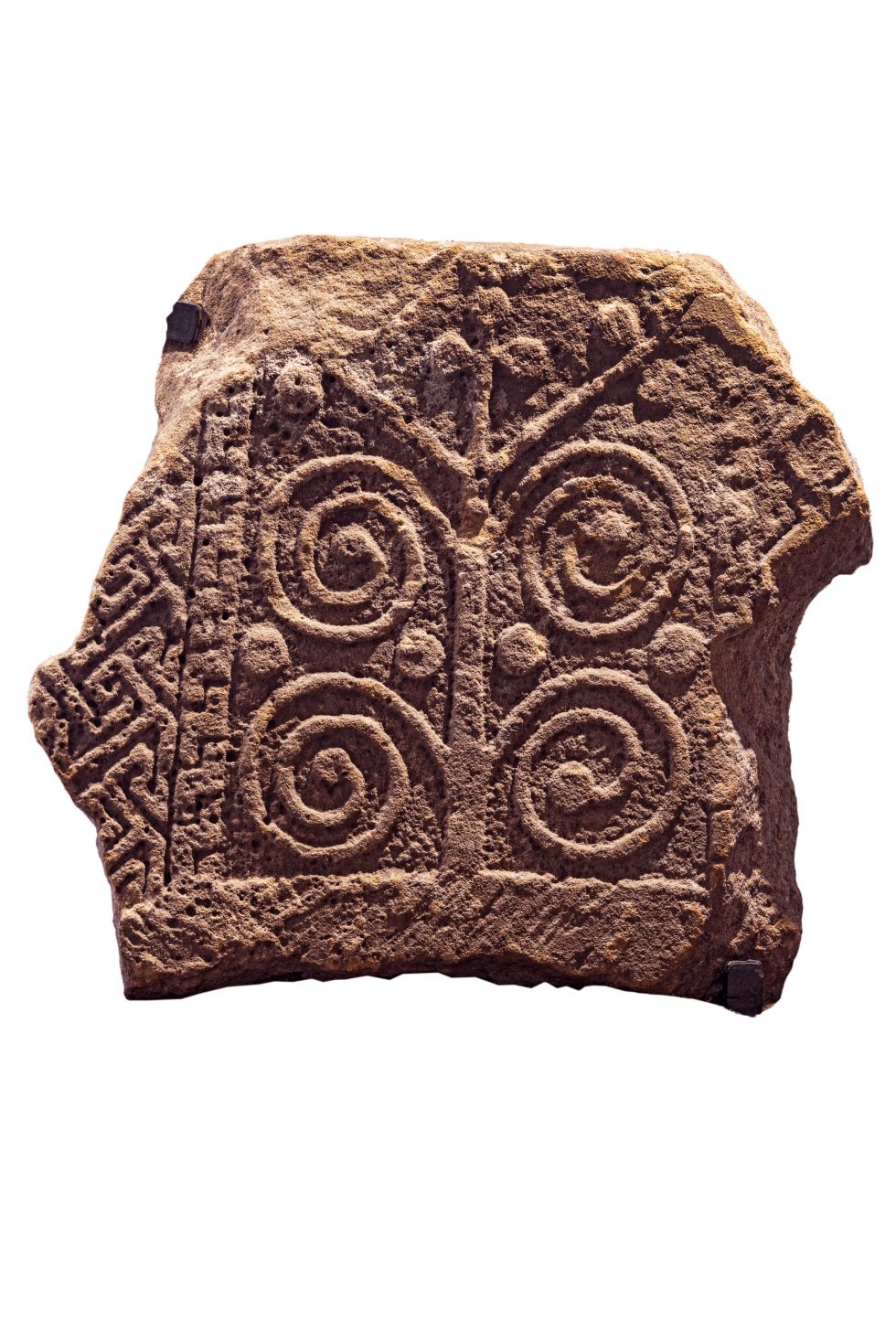 Pictish Stone with Tree of Life | Museum of the Highlands