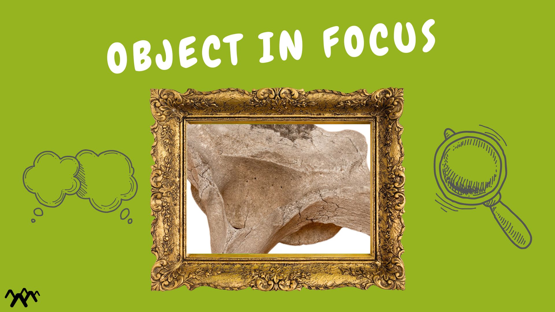 Objects In Focus | Museum of the Highlands