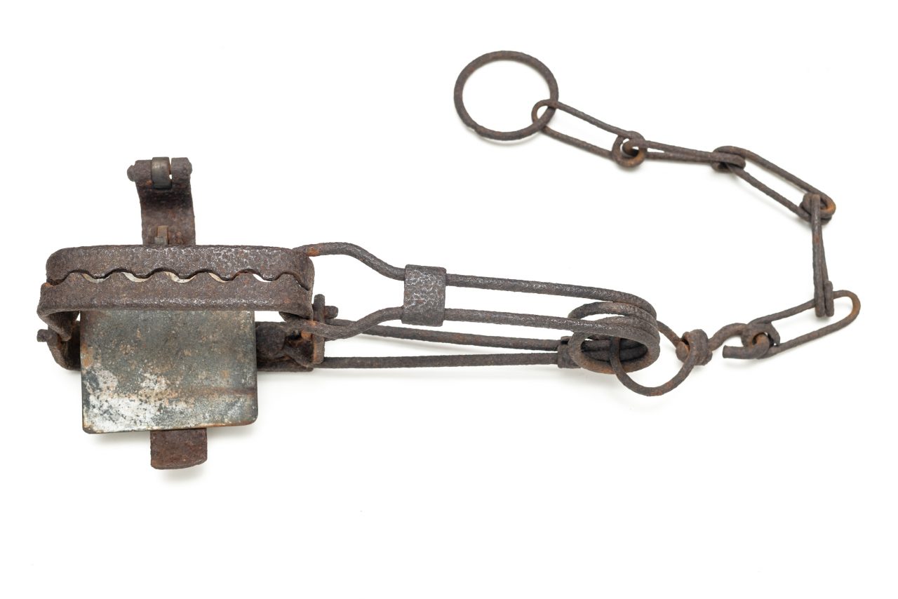 Gin Trap | Museum of the Highlands